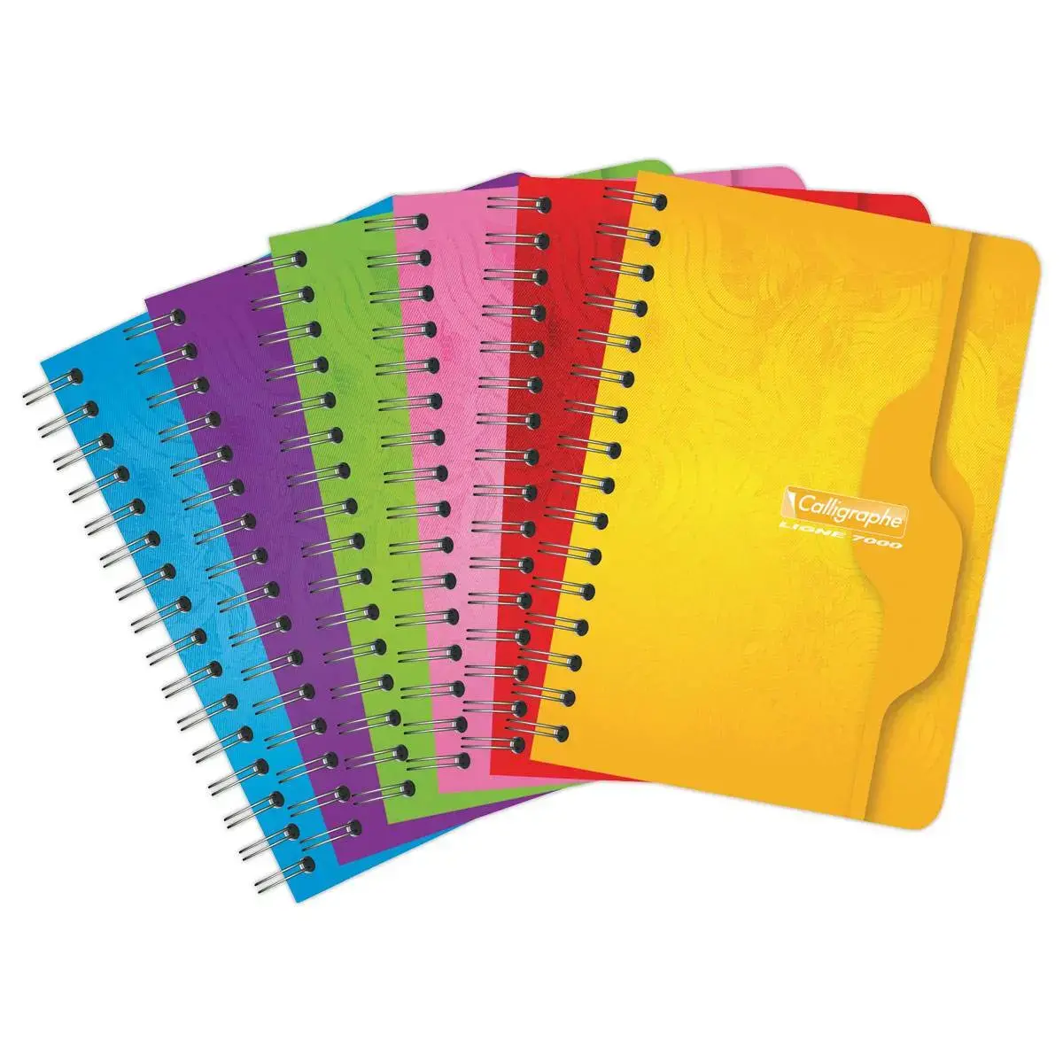 Carnet spirale Calligraphe 70g, 9x14cm,5x5, 100 pages - Carnets